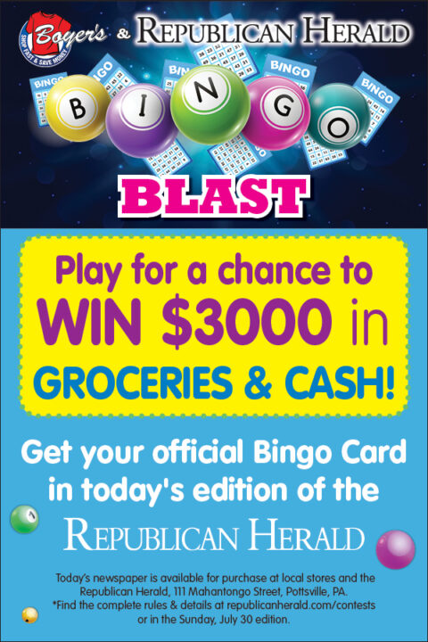 Bingo Blast filler | NEPA - Adops Repo